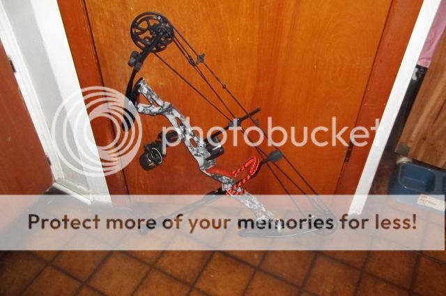 Alpine Archery | Archery Talk Forum